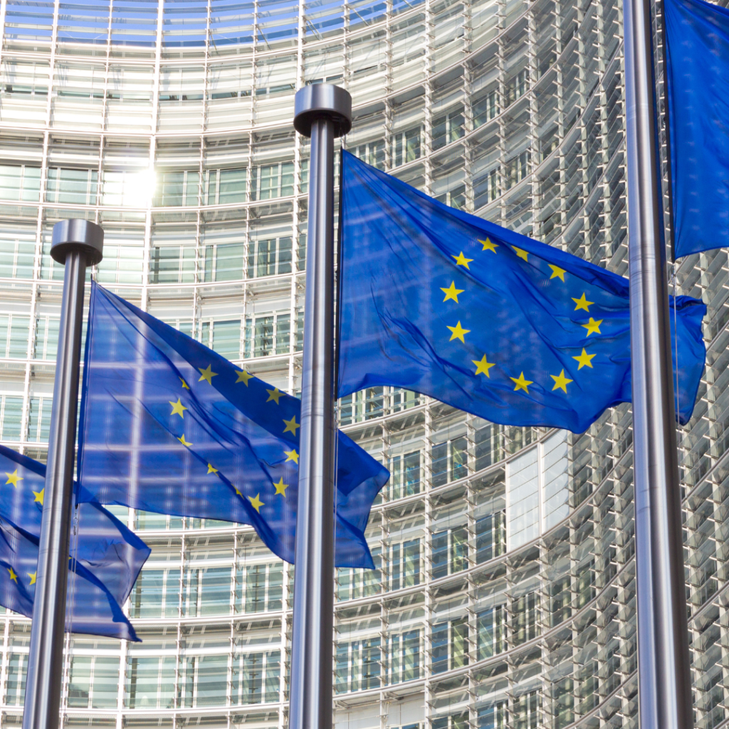 The European Parliament creates an Intergroup on Resilience, Disaster ...